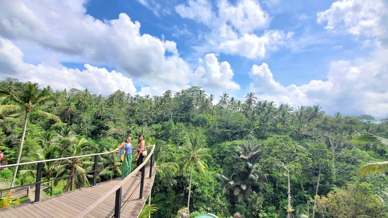 Is Bali Safe to Visit in 2023? Safety Tips To Know!