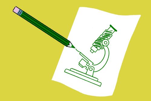 What Is an Abbreviated New Drug Application (ANDA)?