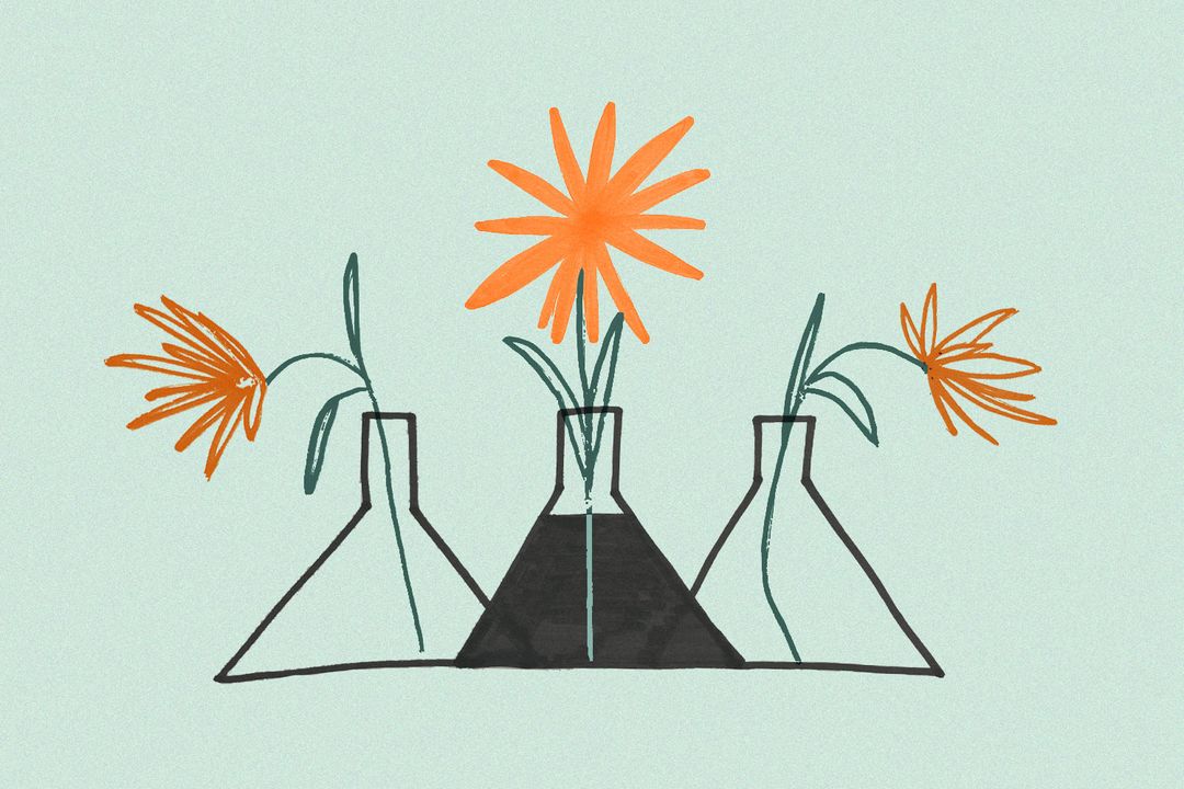 What Is COLA? Accreditation Overview & Its Benefits