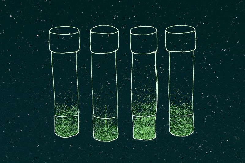 PCR Master Mix: Definition, Types, & More