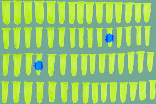 DNA Labeling: Overview & Applications