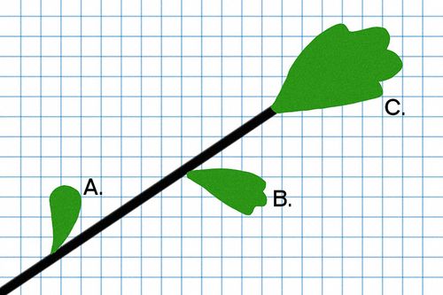 What Is Series, A, B, & C Funding? Series Funding Explained