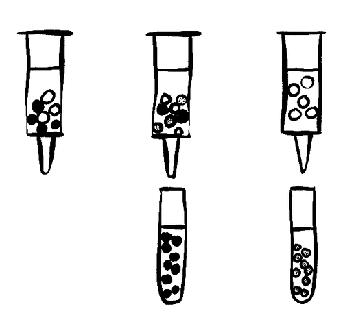 Protein Purification & Isolation | Excedr