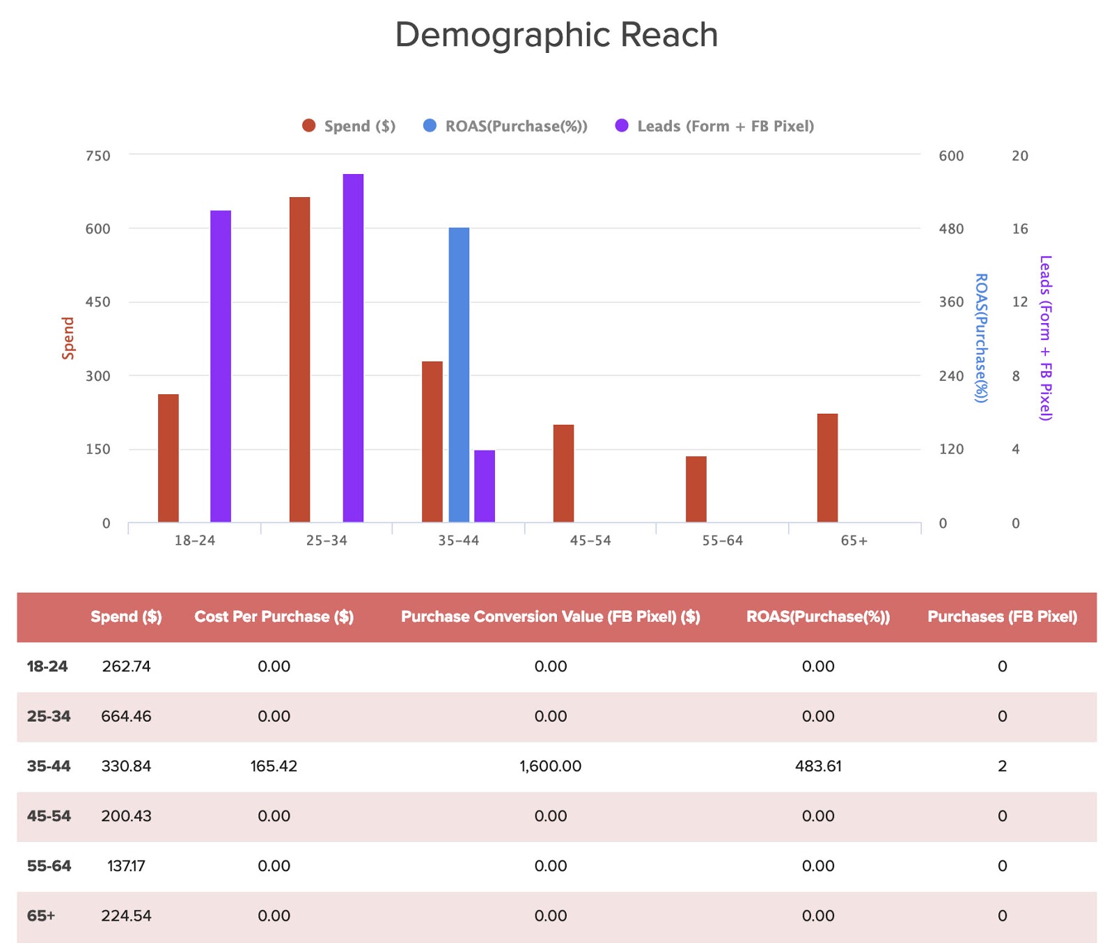 social-media-audit-template-audit-new-clients-in-20-minutes-report