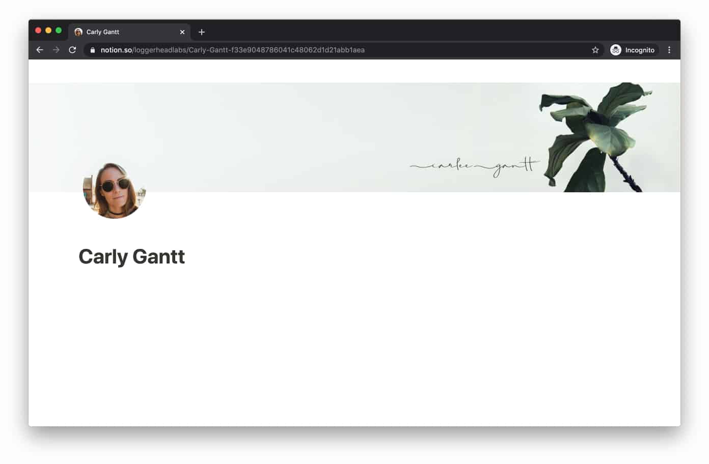 Notion VIP: Personal Pages in Team Workspaces