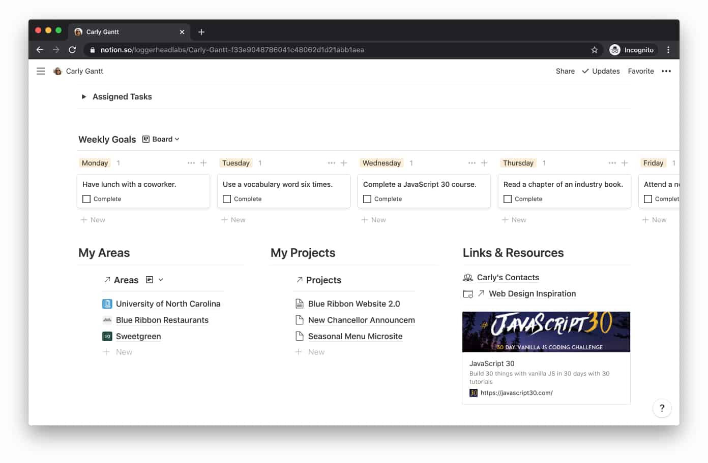 Notion VIP: Personal Pages in Team Workspaces
