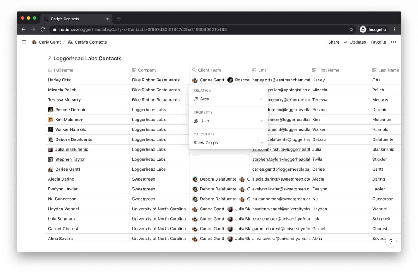 Notion VIP: Personal Pages in Team Workspaces