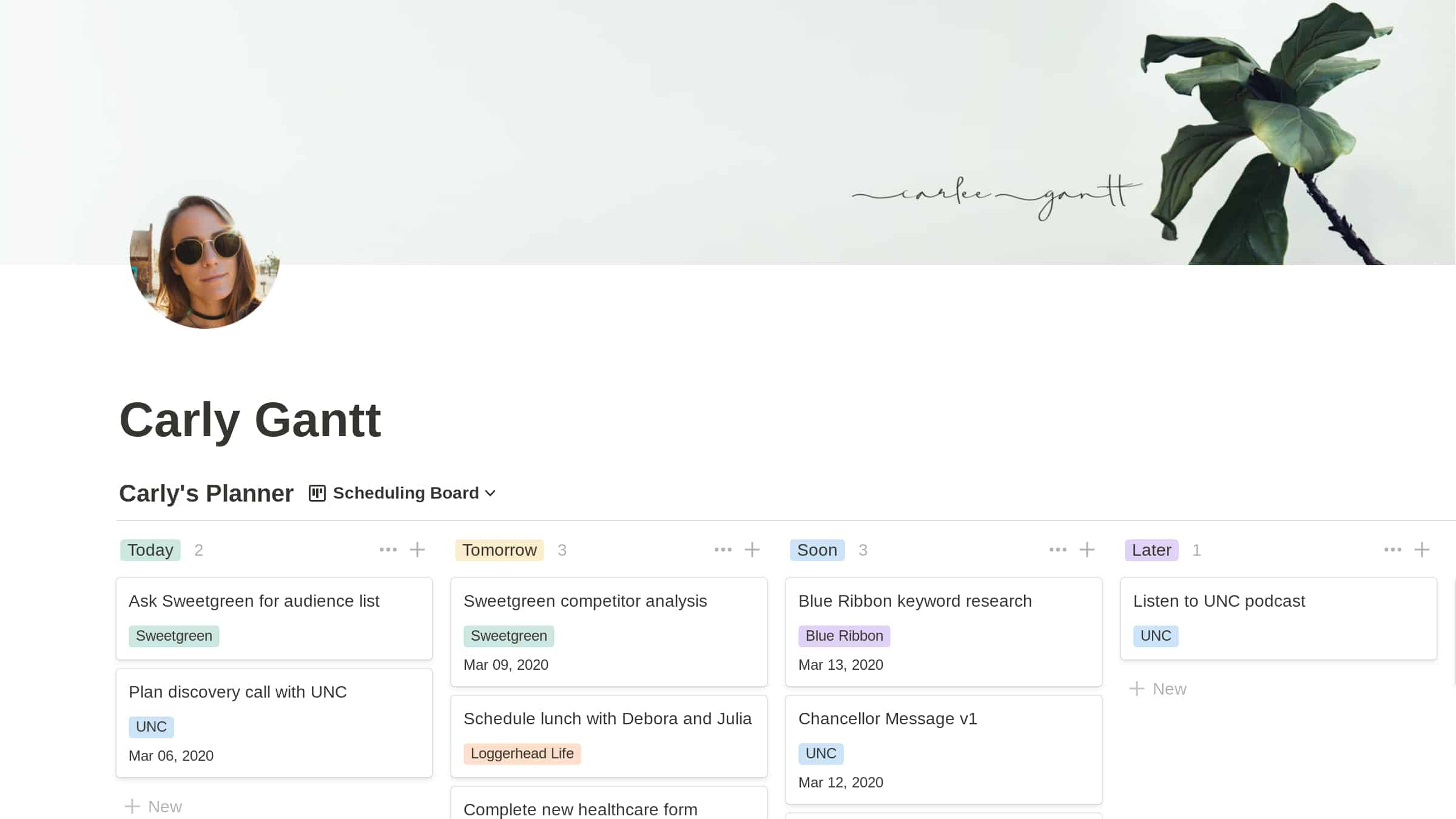Notion VIP: Design Usable, Delightful Notion Pages