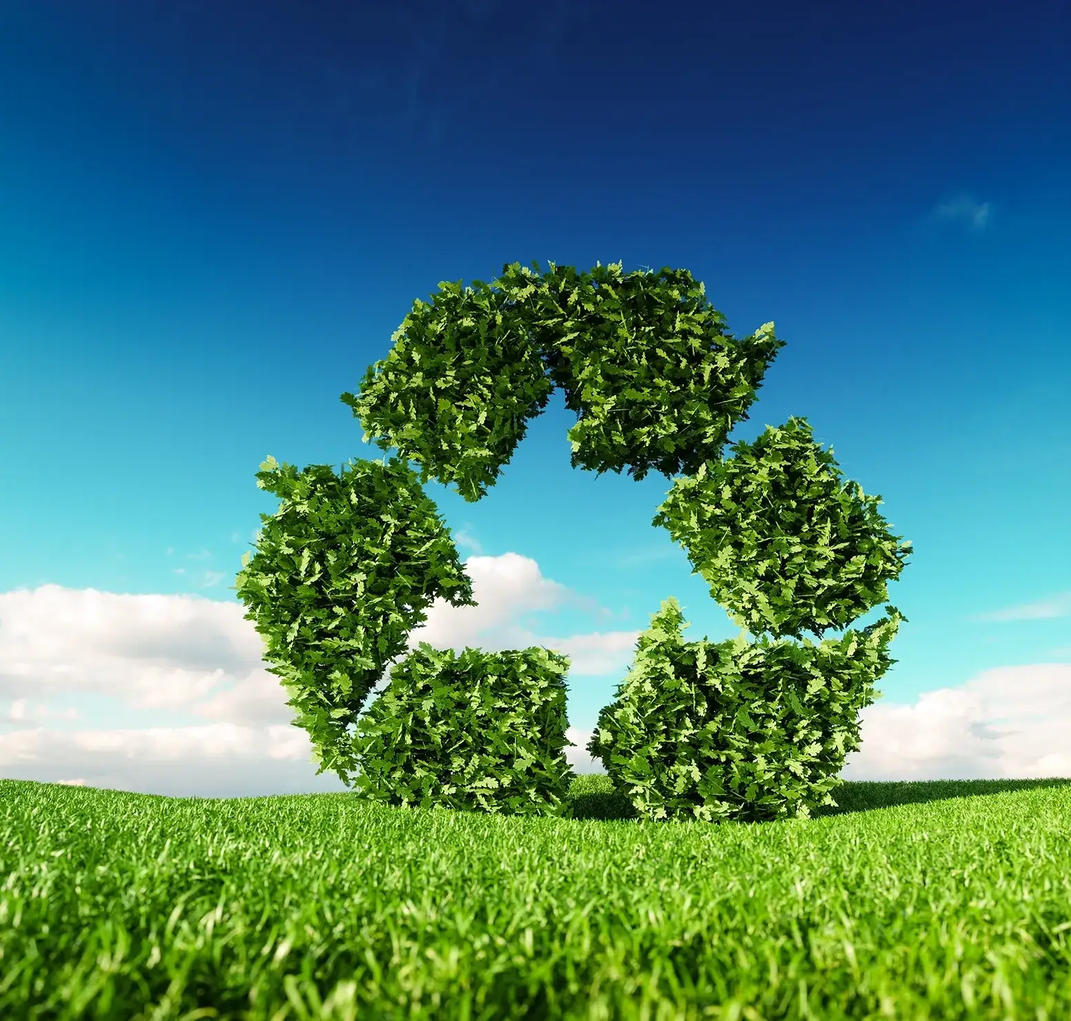 B2B Telemarketing to niche audience for Lead Generation | Case Study