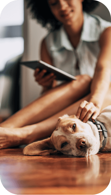 Case Petlove | Vindi