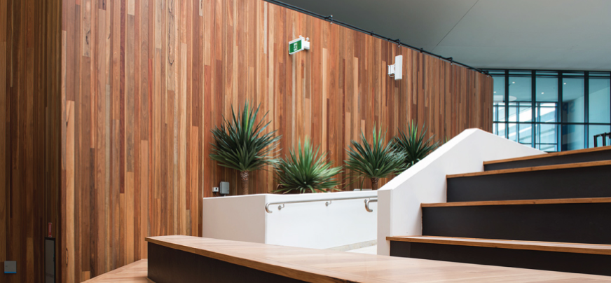 Spotted Gum | Worldwide Timber Traders