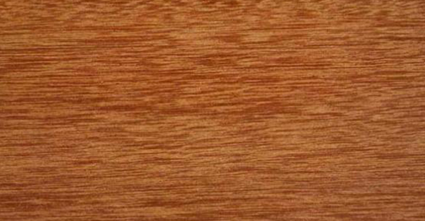 Kapur | Worldwide Timber Traders