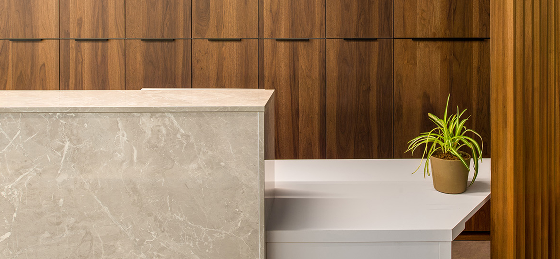 Shinnoki® | Worldwide Timber Traders