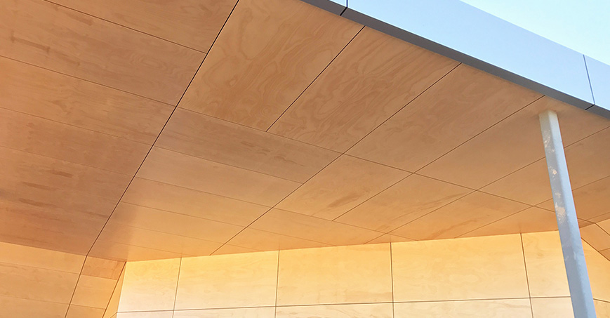 Hoop Pine Plywood | Worldwide Timber Traders