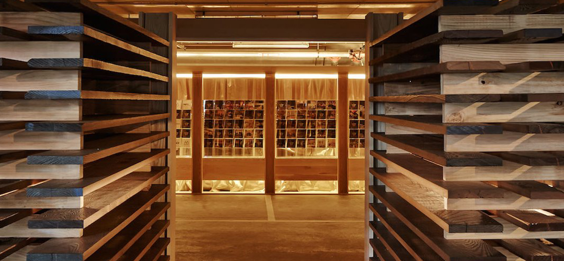 Cambia Ash | Worldwide Timber Traders