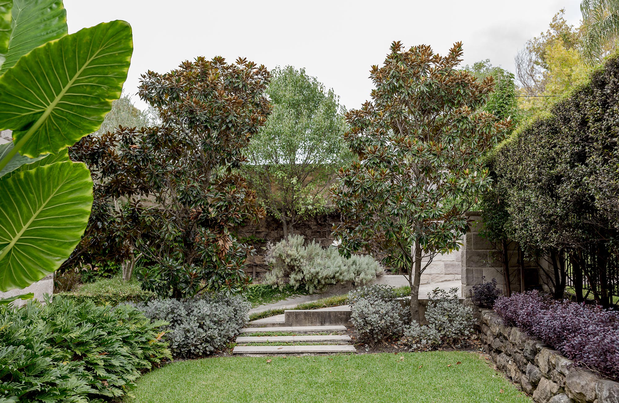 North Shore - Harrisons Landscaping
