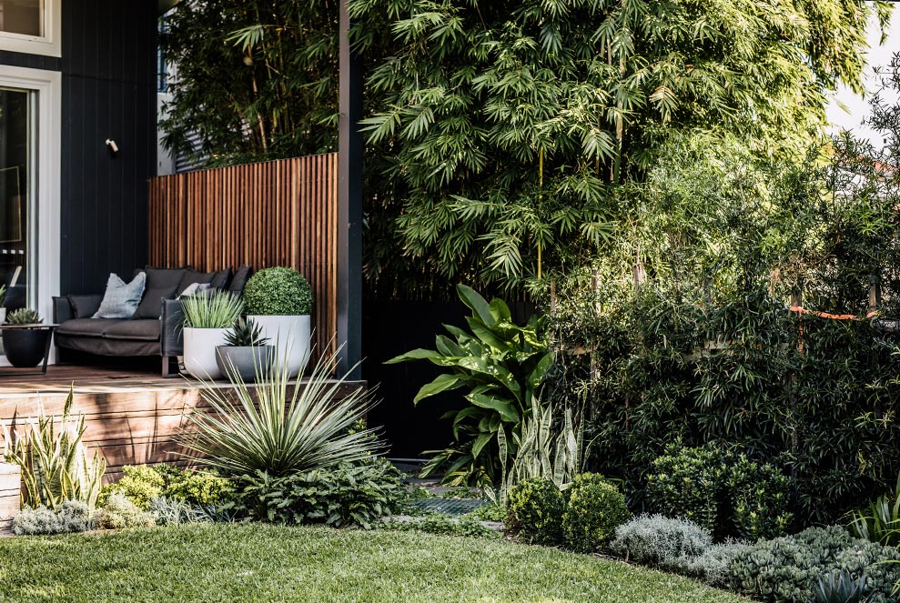 Creating Texture in the Garden - Harrisons Landscape