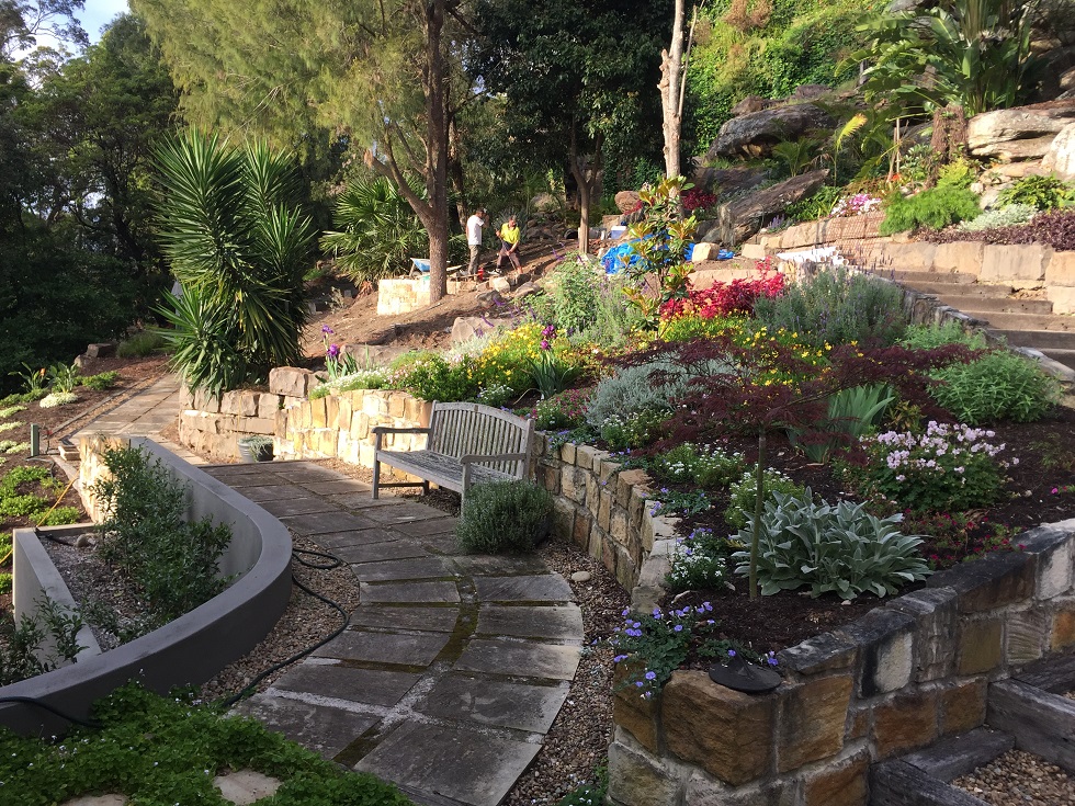 Bayview Garden – Northern Beaches Garden Designers - Harrisons Landscape