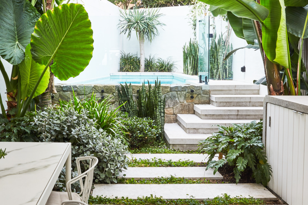 Sub Tropical Garden Design in Sydney - Harrisons Landscape