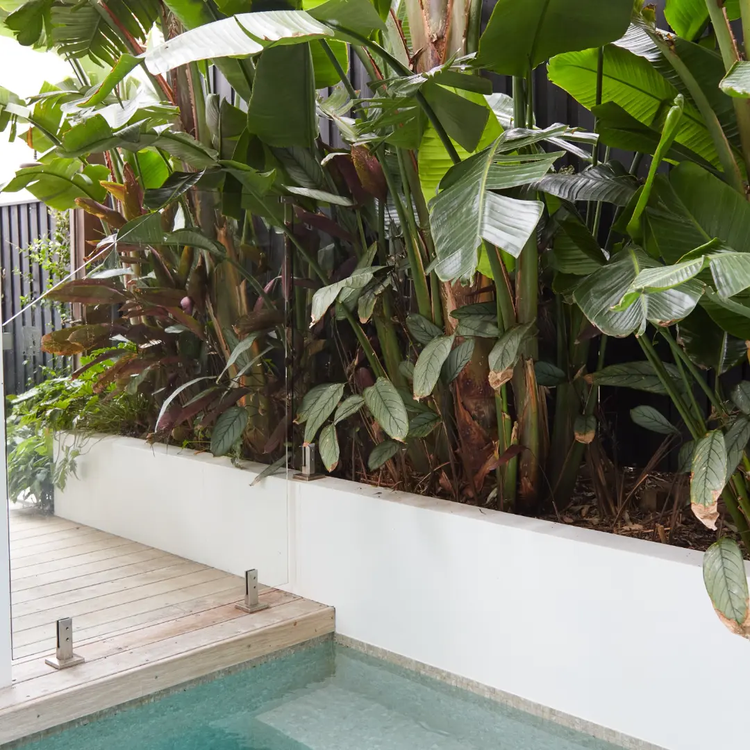 Landscapers Sydney | Landscape Design Company - Harrisons Landscaping ...