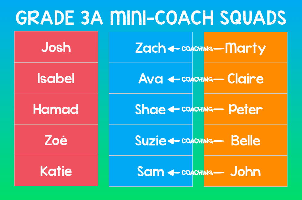 Mini Coaching In Physical Education