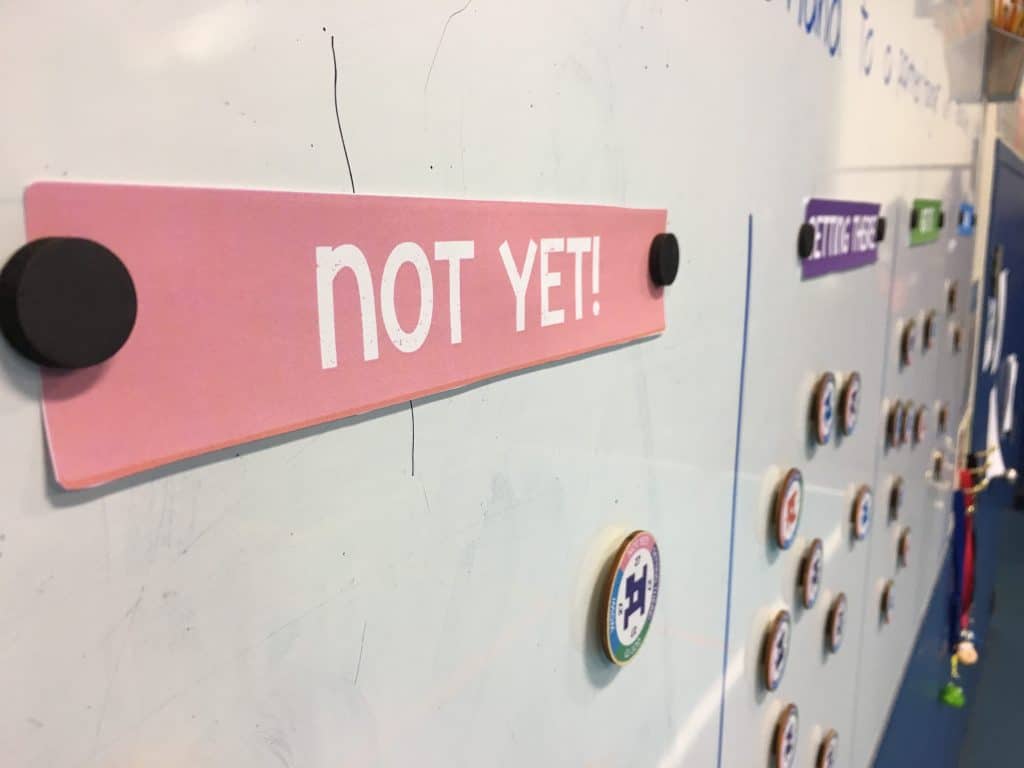 Plickers Assessment Magnets