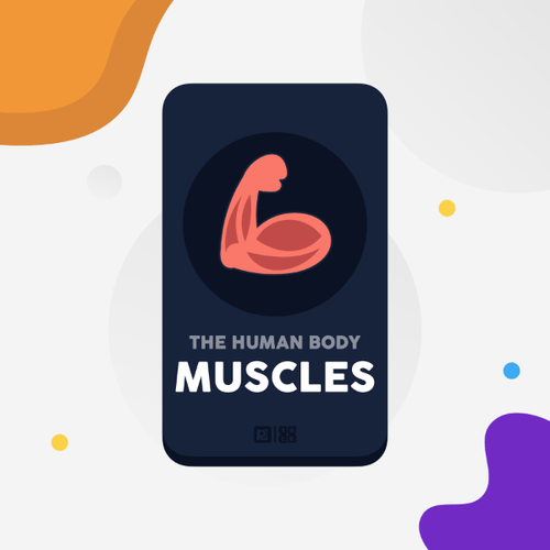 ThePhysicalEducator.com • Fitness Resources