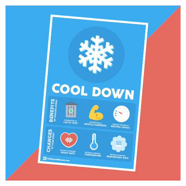 Warm Up & Cool Down Posters • PE Resources