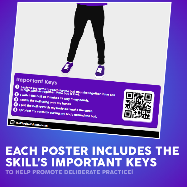 FMS Manipulative Posters - Series One • PE Resources