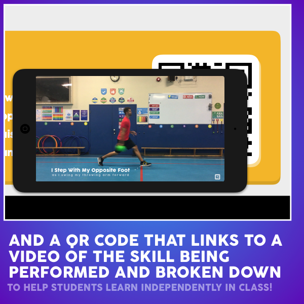 FMS Manipulative Posters - Series One • PE Resources
