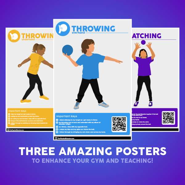 FMS Manipulative Posters - Series One • PE Resources