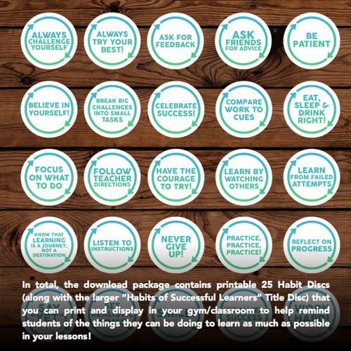 Habits of Successful Learners Mural • PE Resources