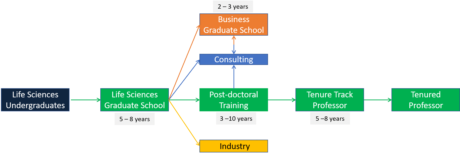 What Are the Different Career Paths for Life Sciences Graduates?
