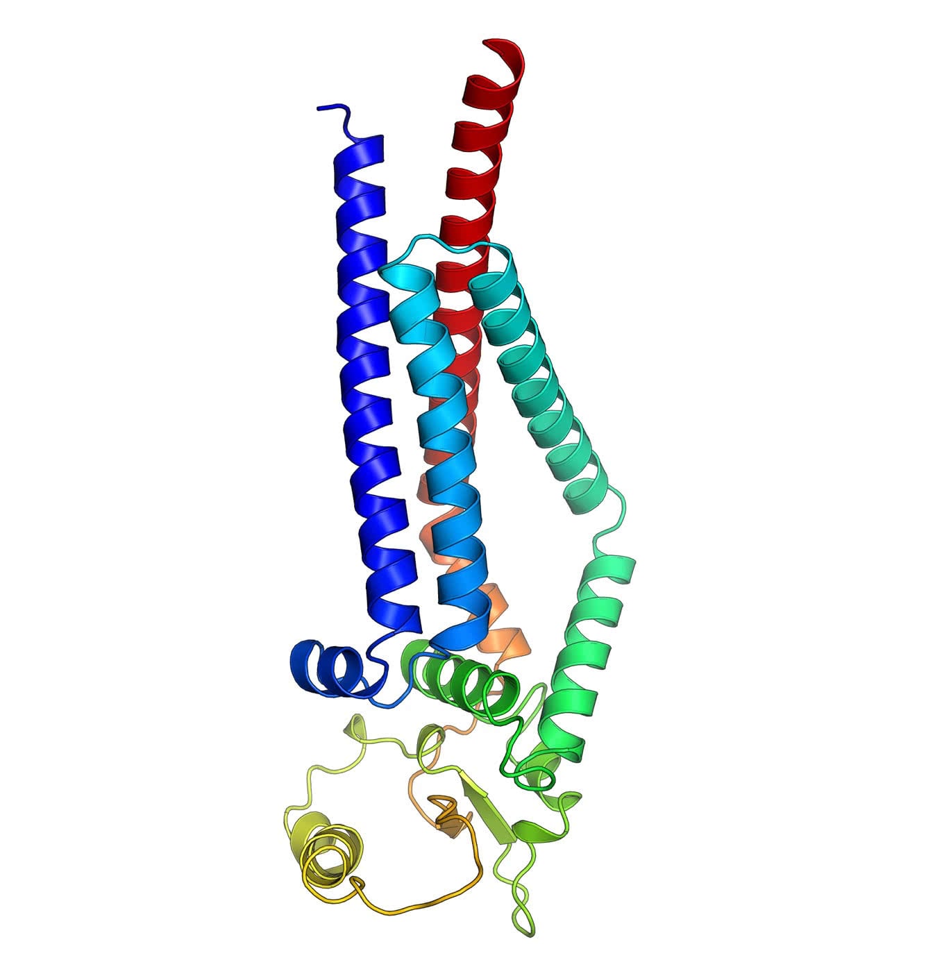CD37_HUMAN - CD37 - P11049 | Calixar