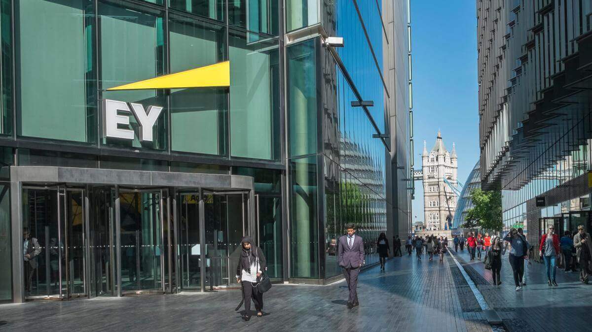 Strategy Study: The Ernst and Young Growth Study