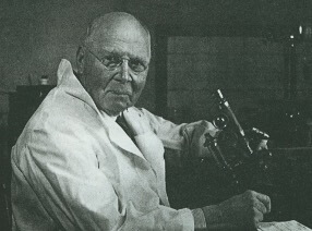 Strategy Study: The CSL Limited Growth Study