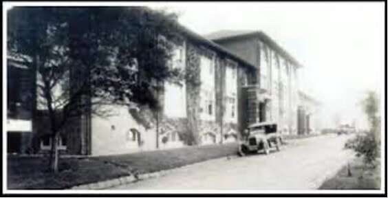 Strategy Study: The CSL Limited Growth Study