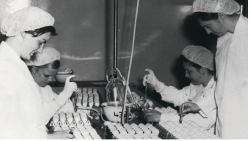 Strategy Study: The CSL Limited Growth Study