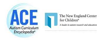 A list of popular Autism & ABA curricula - Motivity Blog