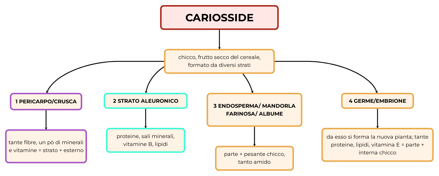 2 CARIOSSIDE | Mappa e riassunto