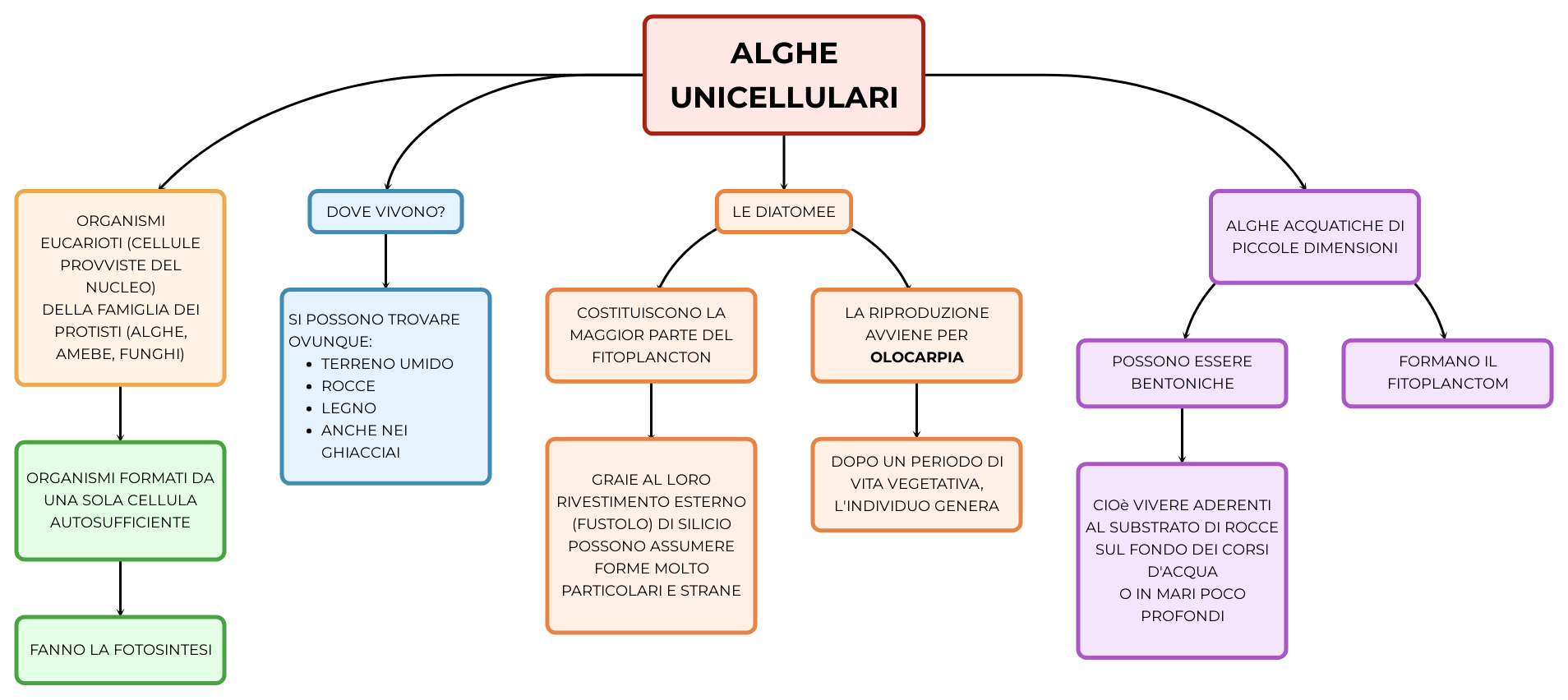 ALGHE UNICELLULARI | Mappa e riassunto