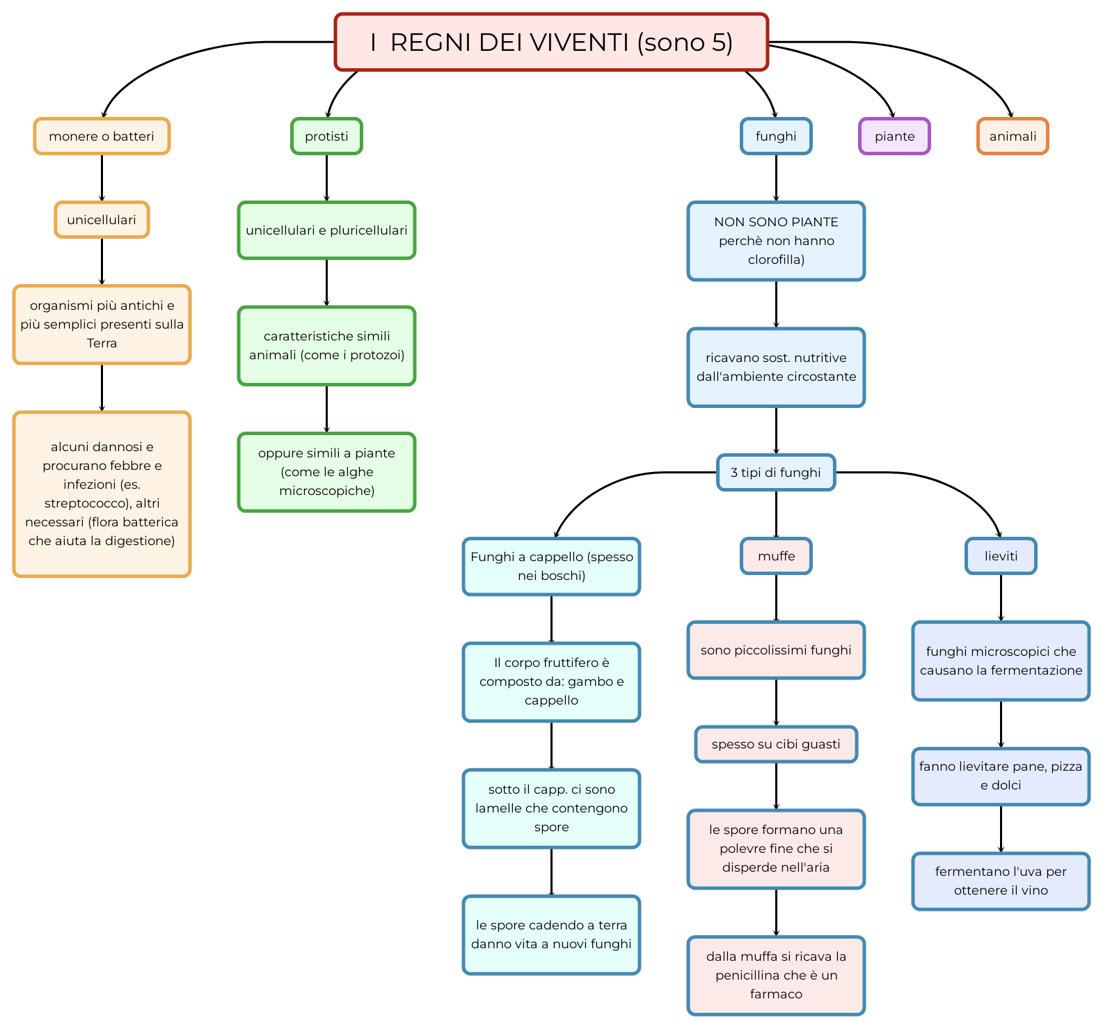 I REGNI DEI VIVENTI (sono 5) | Mappa e riassunto