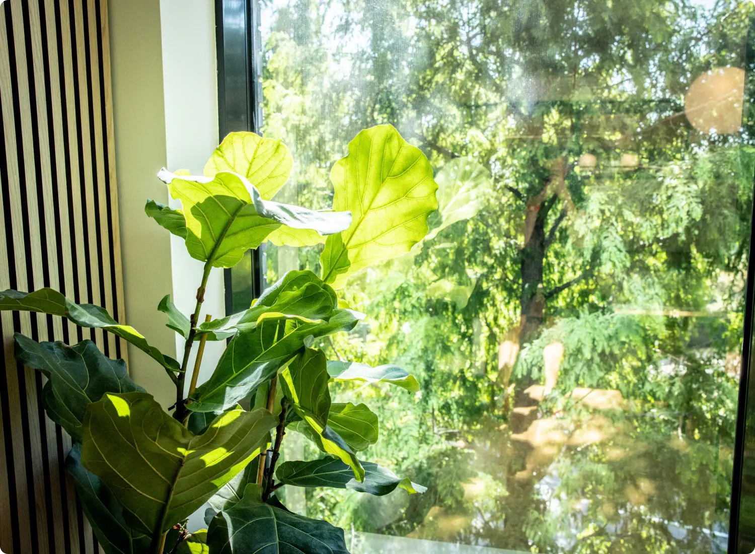 Fivefields - x+why flexible workspace