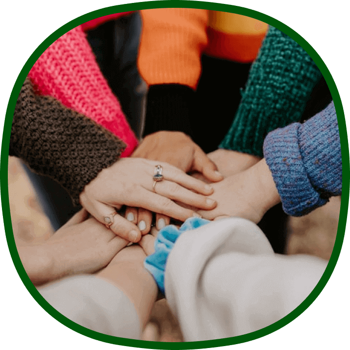 Roar Social | Nonprofits