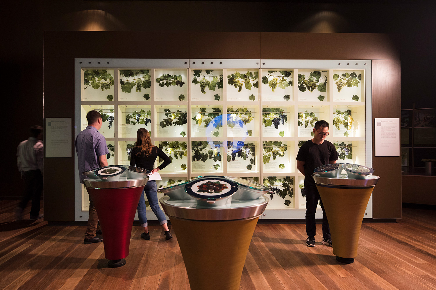 A truly special place | National Wine Centre of Australia