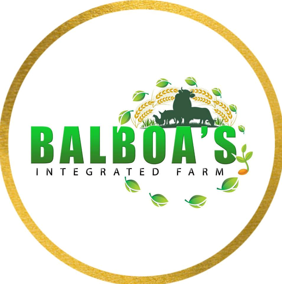 BALBOA'S INTEGRATED FARM | Balanga Business Directory