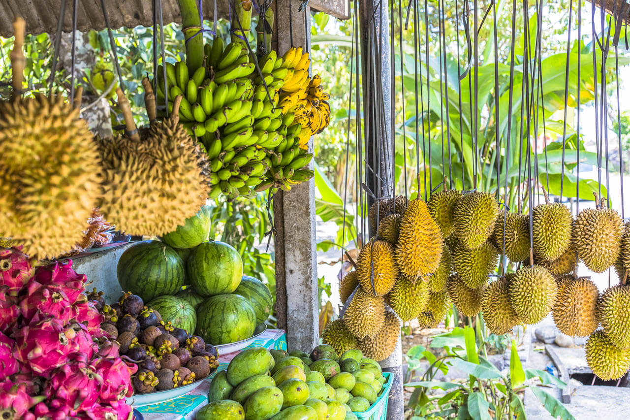 Koh Samui vs Bali: How to Choose? Compare Hotels, Weather & More