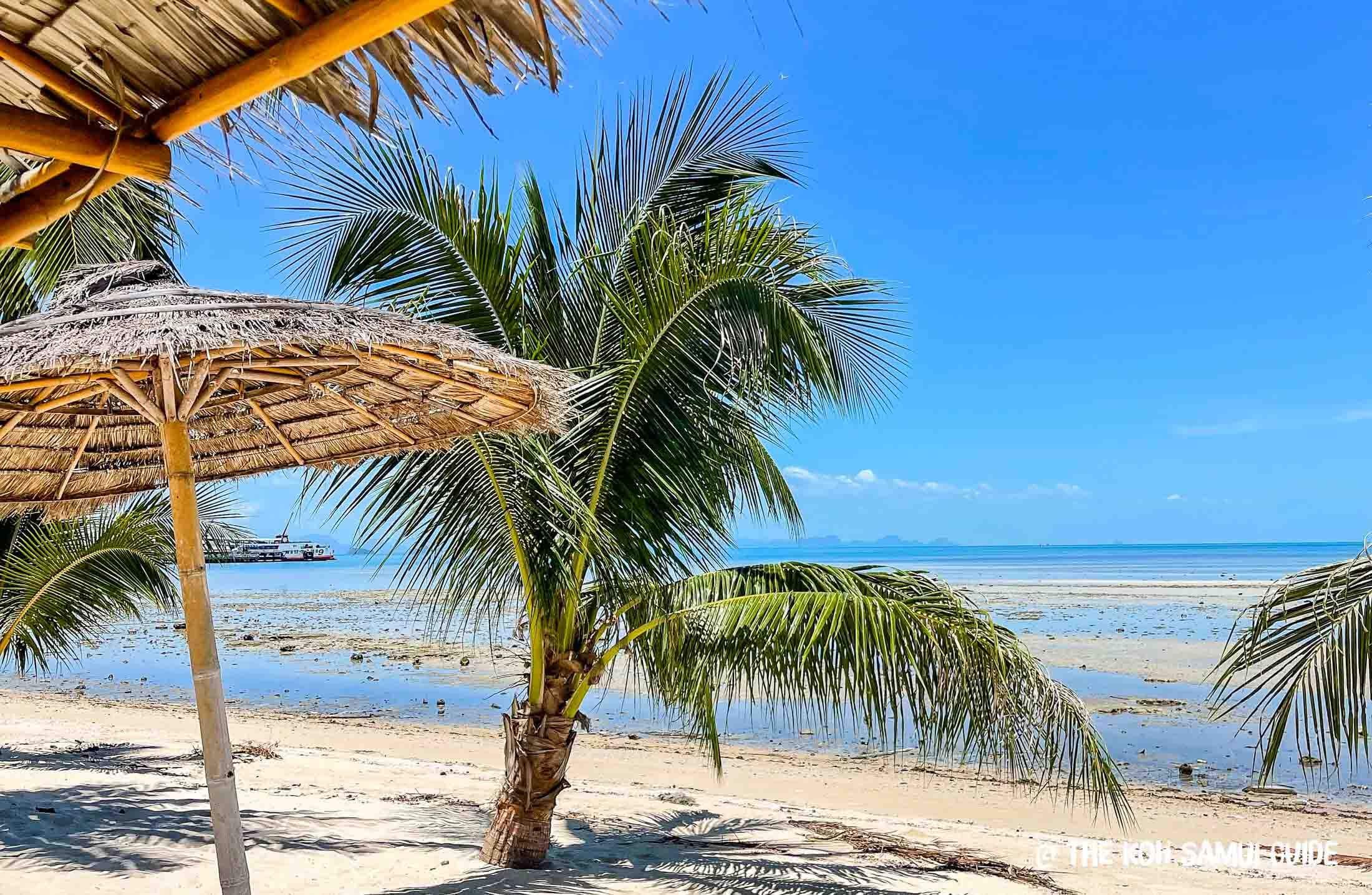 Koh Samui in May: Weather, What to Expect and FAQs