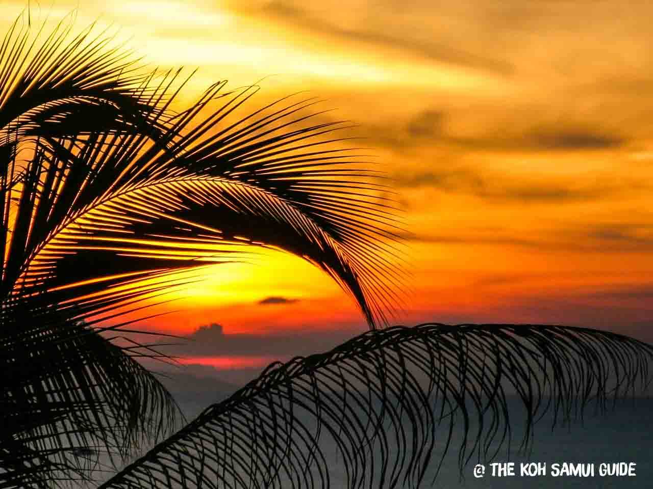 Koh Samui in May: Weather, What to Expect and FAQs