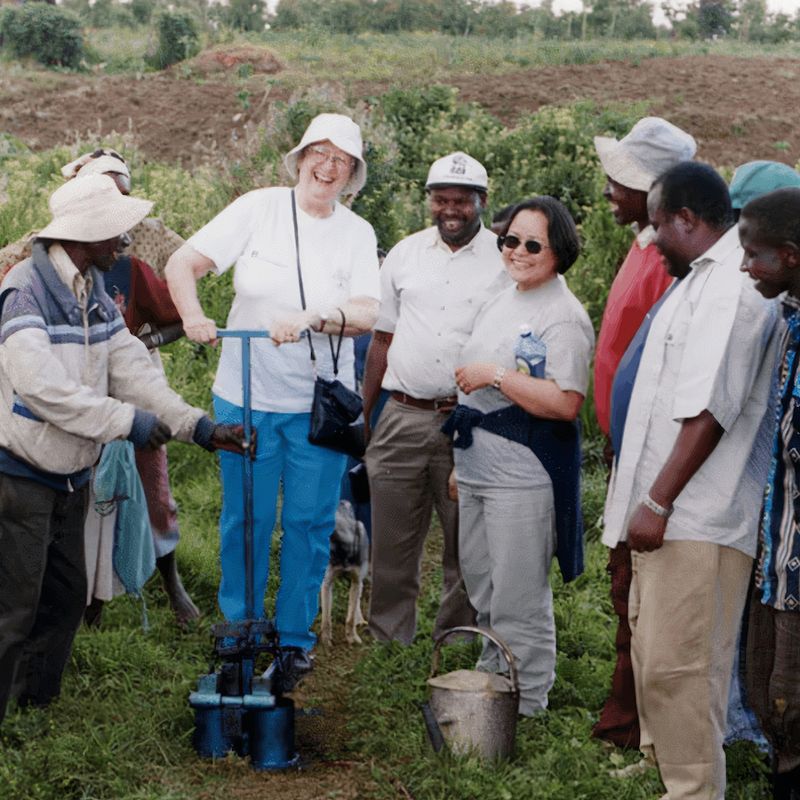 ProSocial World | Pathways to continuous, equitable improvement.